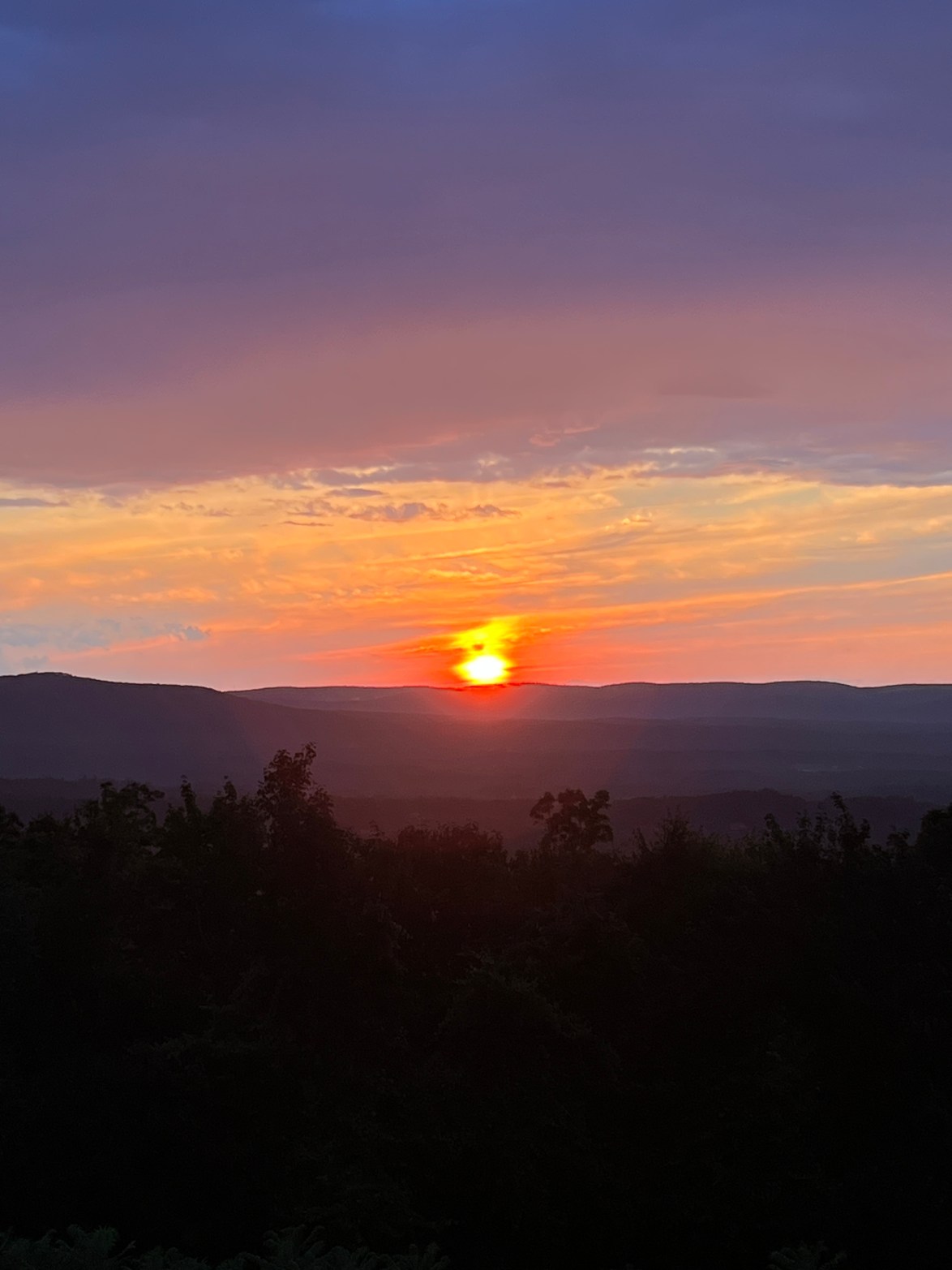 CLI Conservatory | Our Everyday