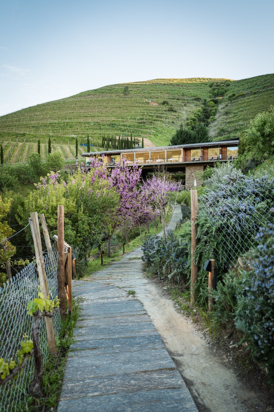 Douro Valley, Portugal | Our Everyday
